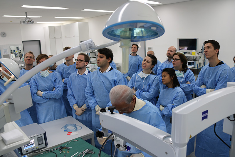 Visiting Professor 2017