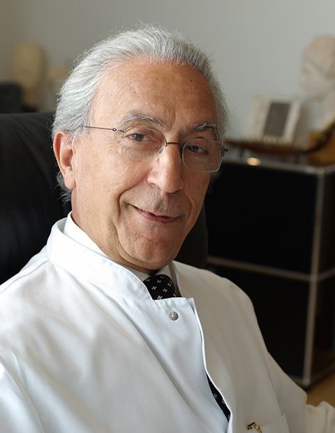 Visiting Professor 2017