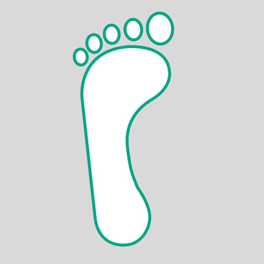 Diabetic Foot Ulcers: Prevention and Treatment - B. Braun